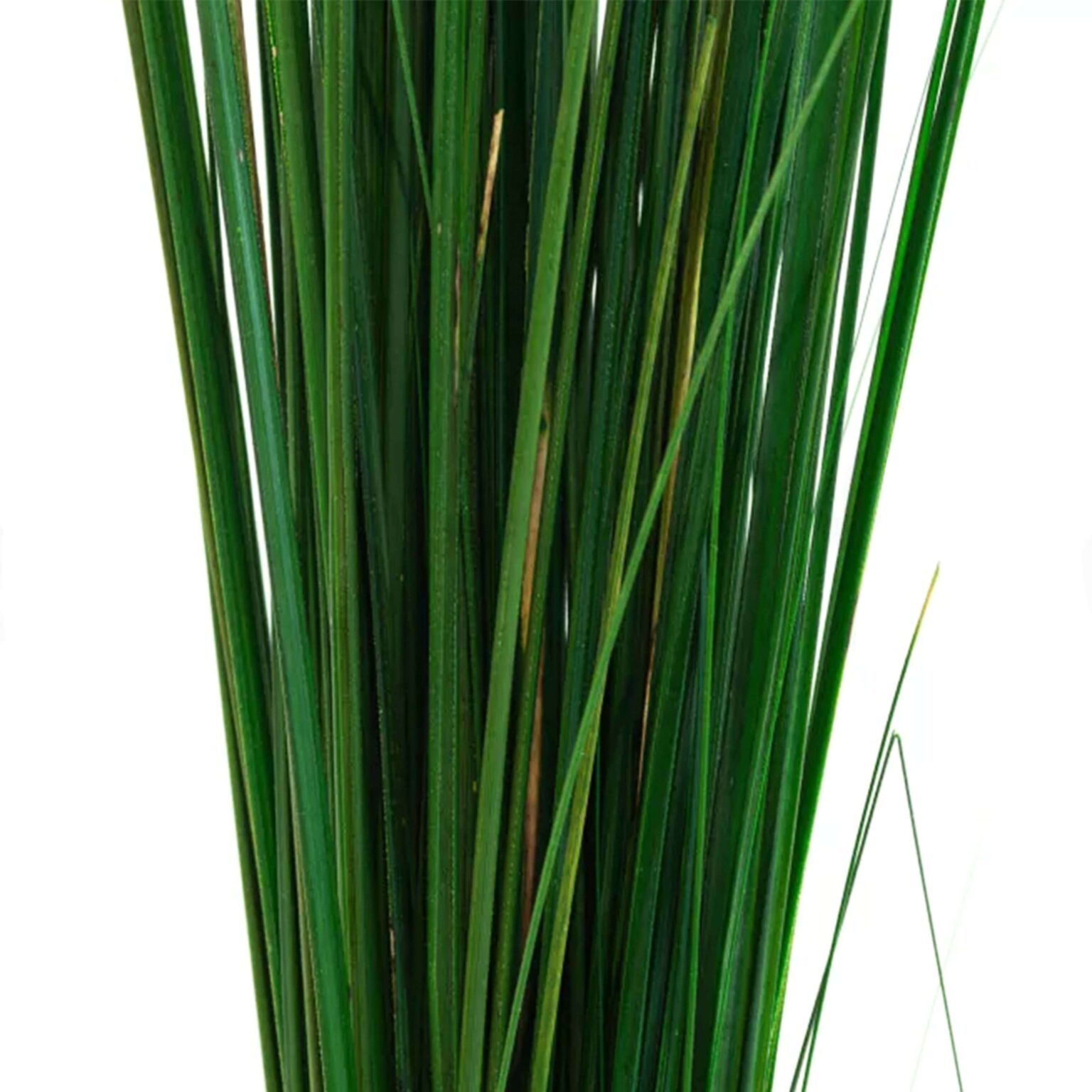 Steel Grass - Verde Stabilizzato