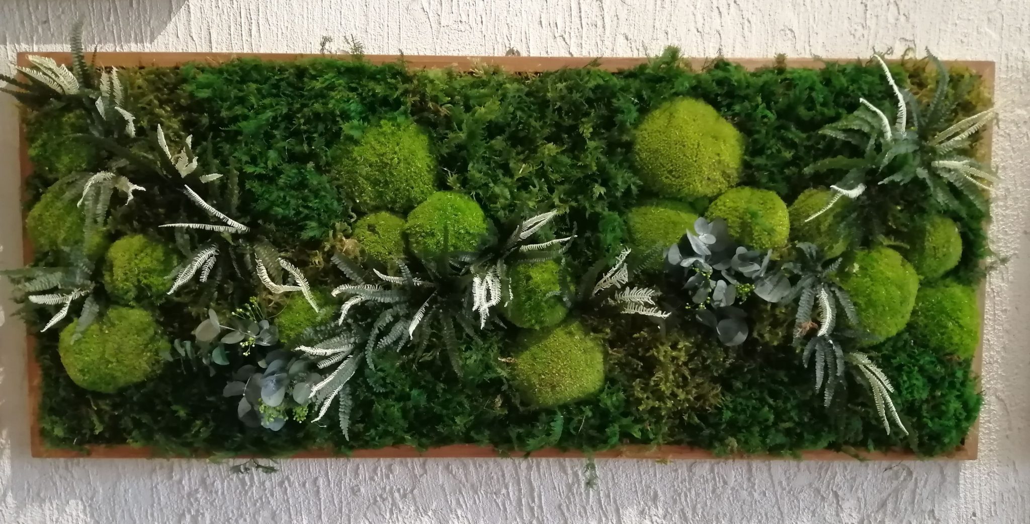 Quadro muschio fern - Verde Stabilizzato