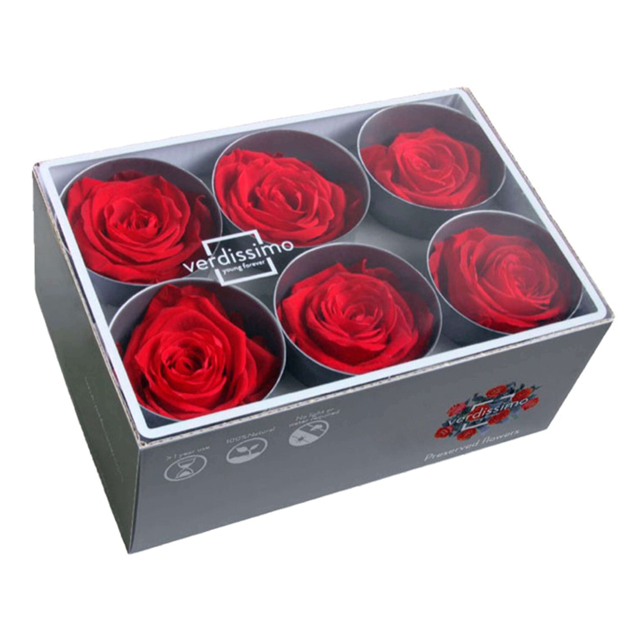 Box rosa standard bianca - Verde Stabilizzato