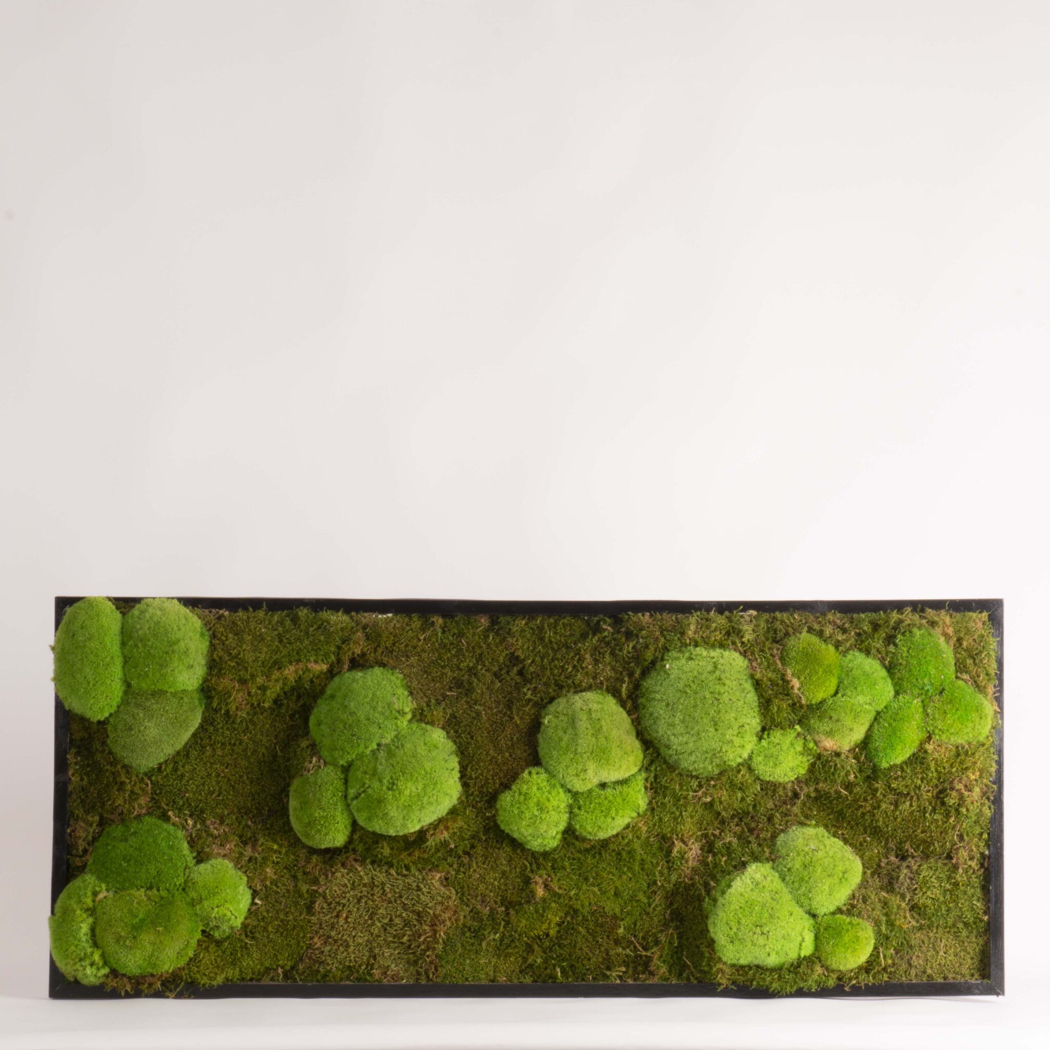 Quadro muschio dark e fiori stabilizzati - Verde Stabilizzato