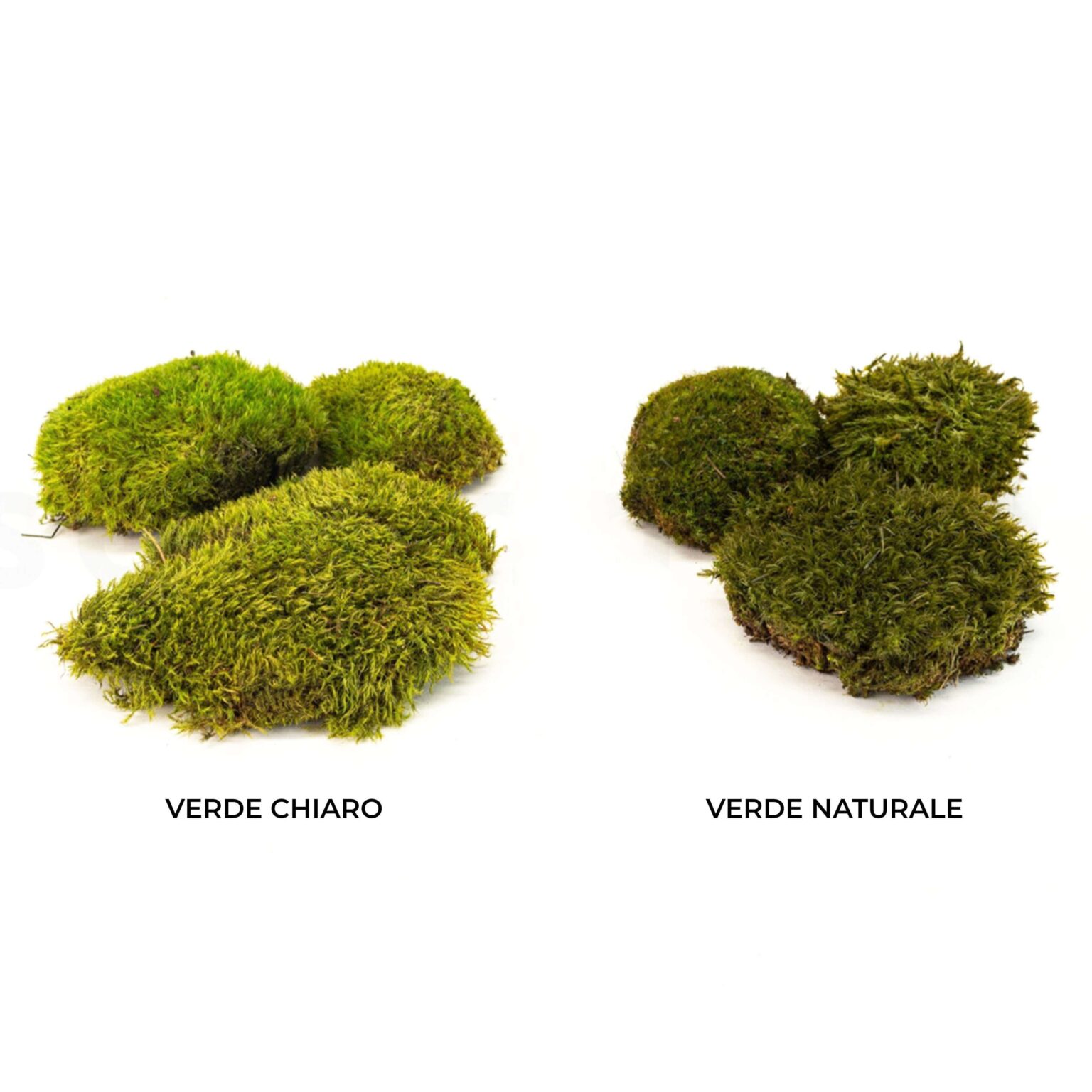 Muschio Mood verde naturale - Verde Stabilizzato